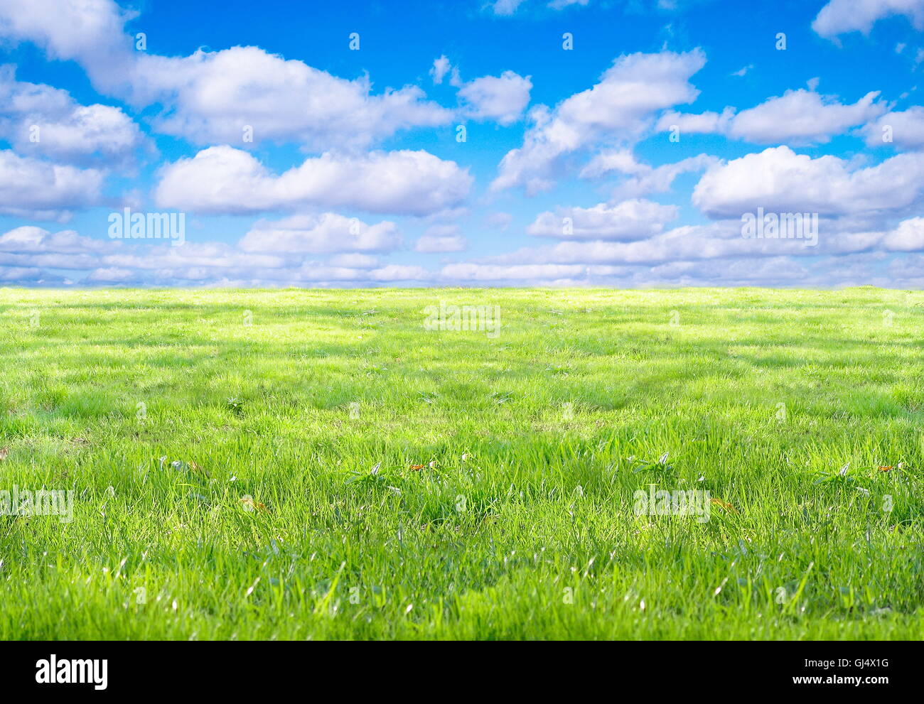 Grass and sky Stock Photo - Alamy