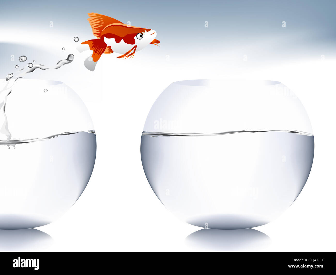 Goldfish bowl jumping hi-res stock photography and images - Alamy