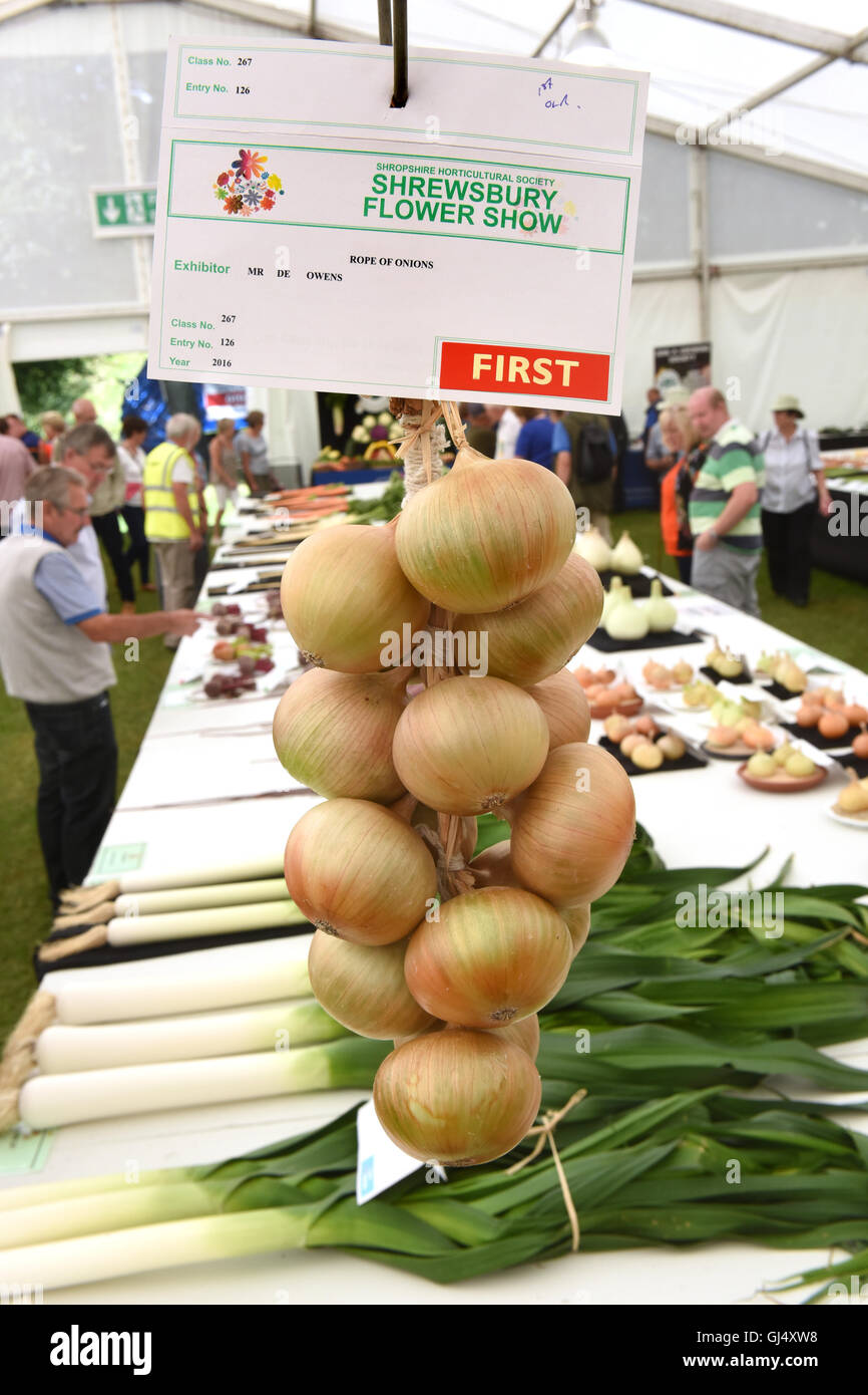 Prize winning string of onions at Shrewsbury Flower Show Stock Photo ...