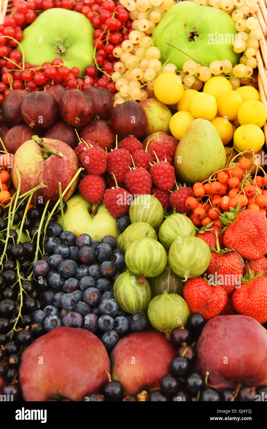 Basket of British fruit fruits for healthy eating diet Stock Photo - Alamy