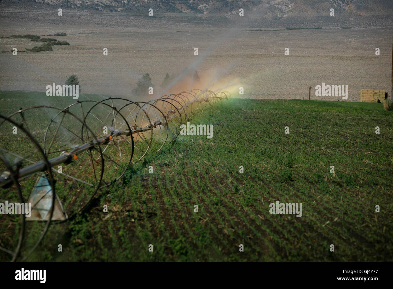 Rice paddy irrigation system hi-res stock photography and images - Alamy