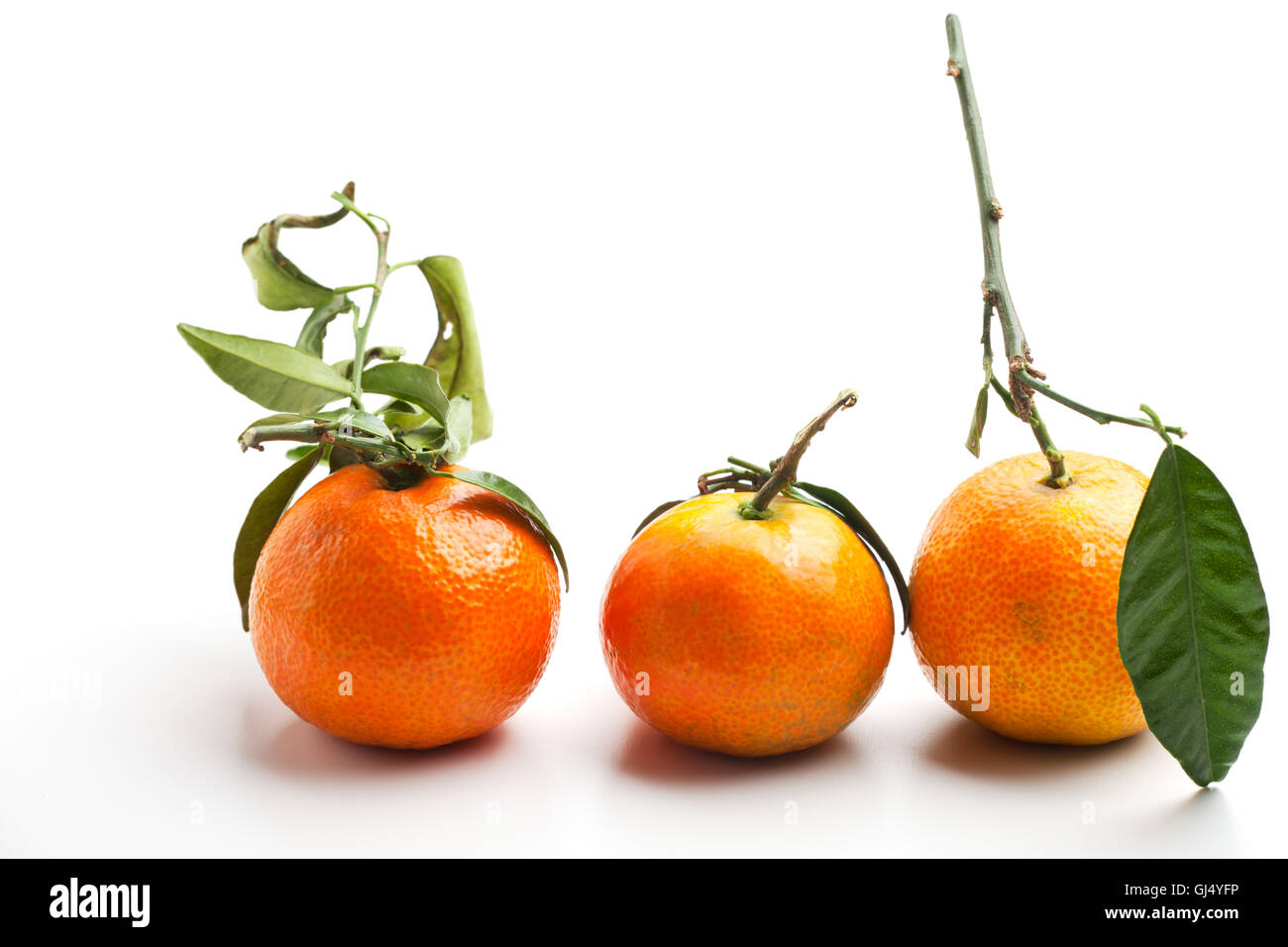 three tangerines on a white background Stock Photo - Alamy