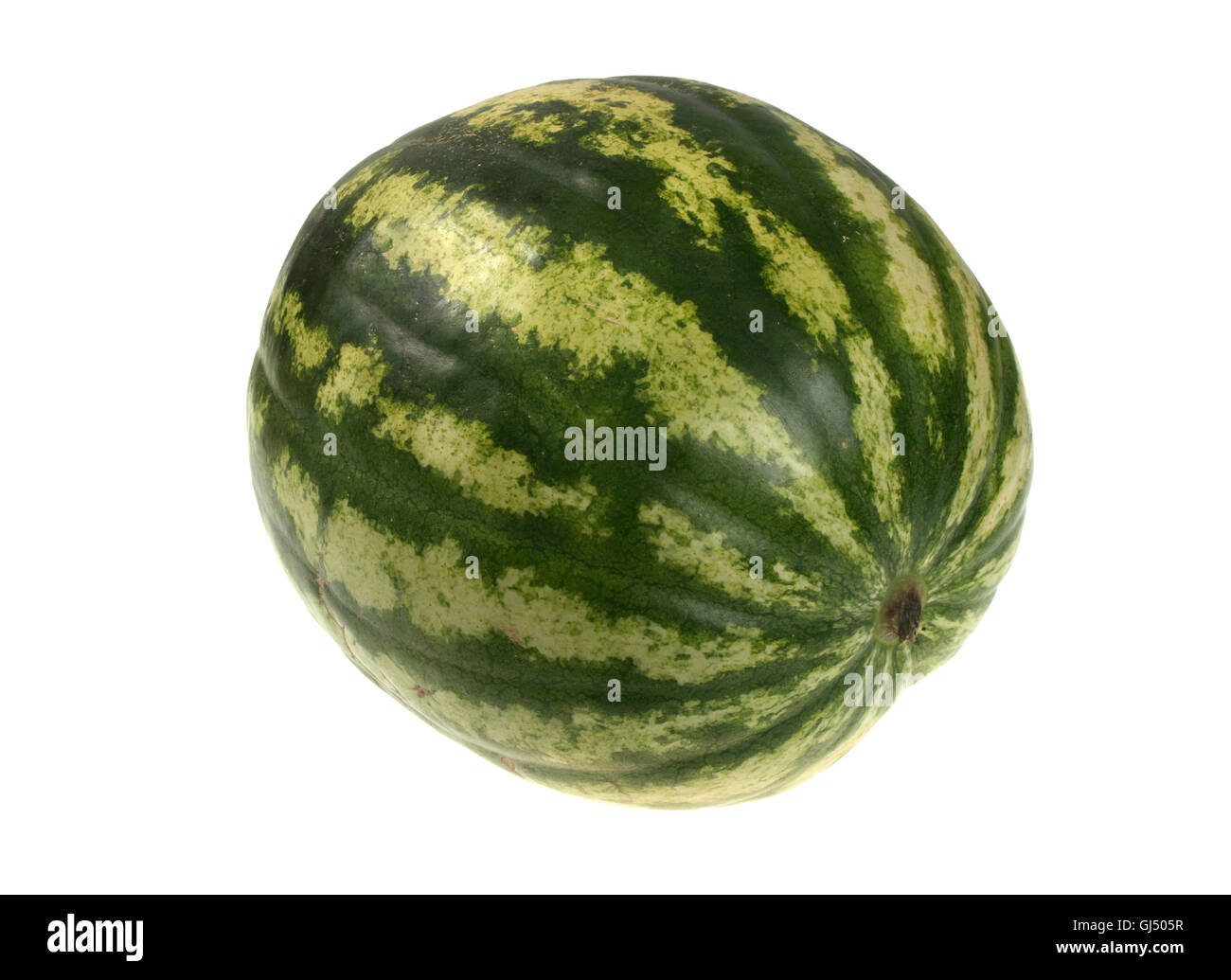 Full single striped green watermelon Stock Photo - Alamy