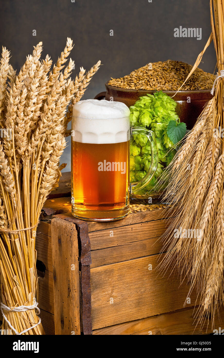 Glass of beer with raw material for beer production Stock Photo - Alamy