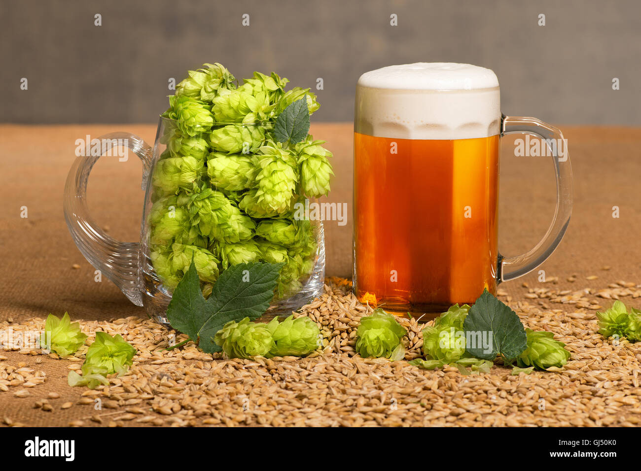 Glass of beer with raw material for beer production Stock Photo - Alamy