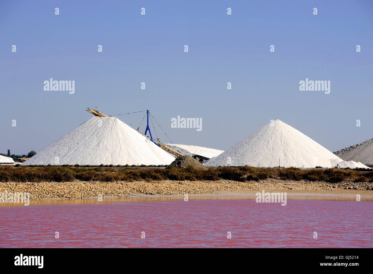 Saline algae hi-res stock photography and images - Alamy