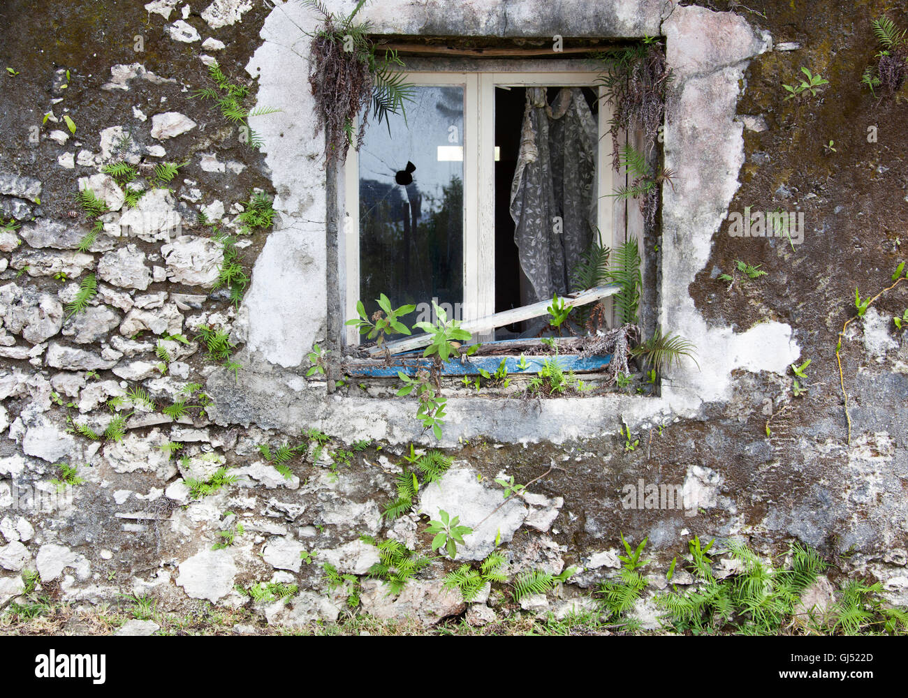 The broken window of an abandoned house in Tadine town on Mare island ...