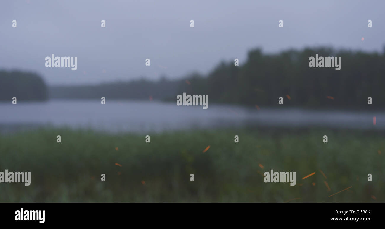 sparks floating in the air above campfire in the evening Stock Photo ...