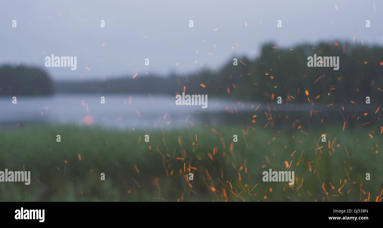 sparks floating in the air above campfire in the evening Stock Photo ...