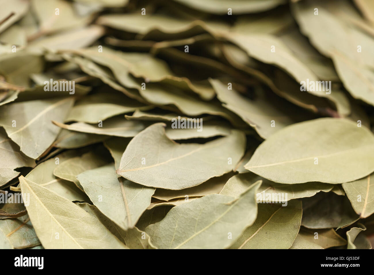dry bay leaves background Stock Photo - Alamy