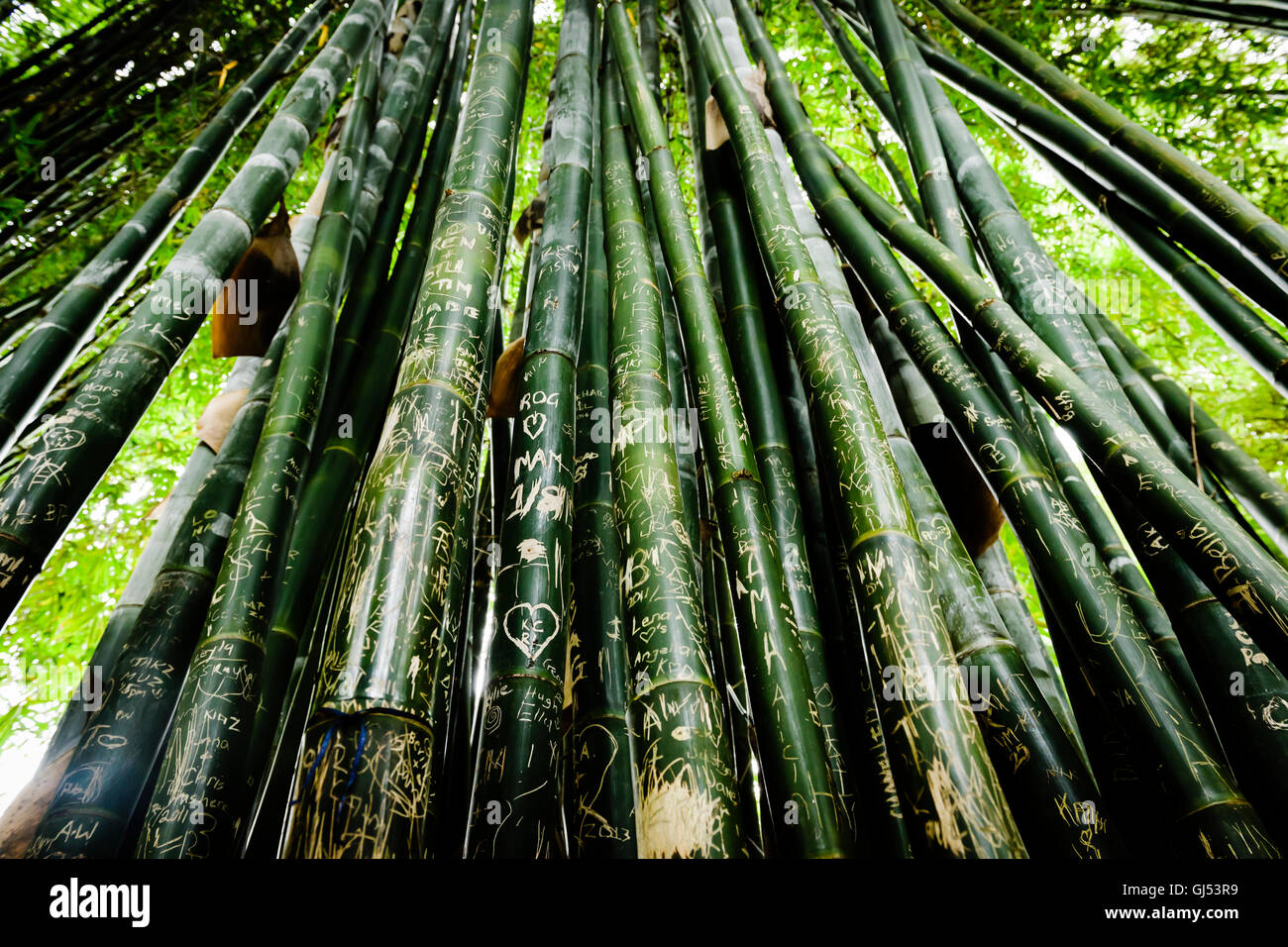 Mullumbimby hi-res stock photography and images - Alamy