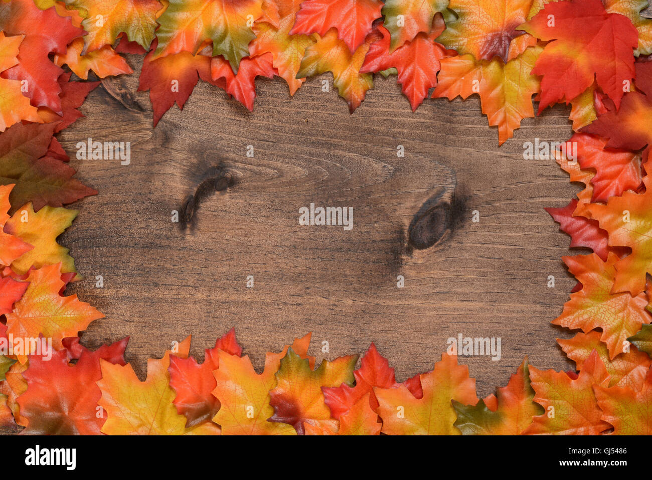 colorful maple leaves frame Stock Photo - Alamy