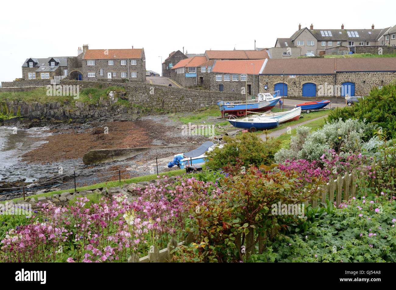 The harbour at Craster, Northumberland Stock Photo - Alamy
