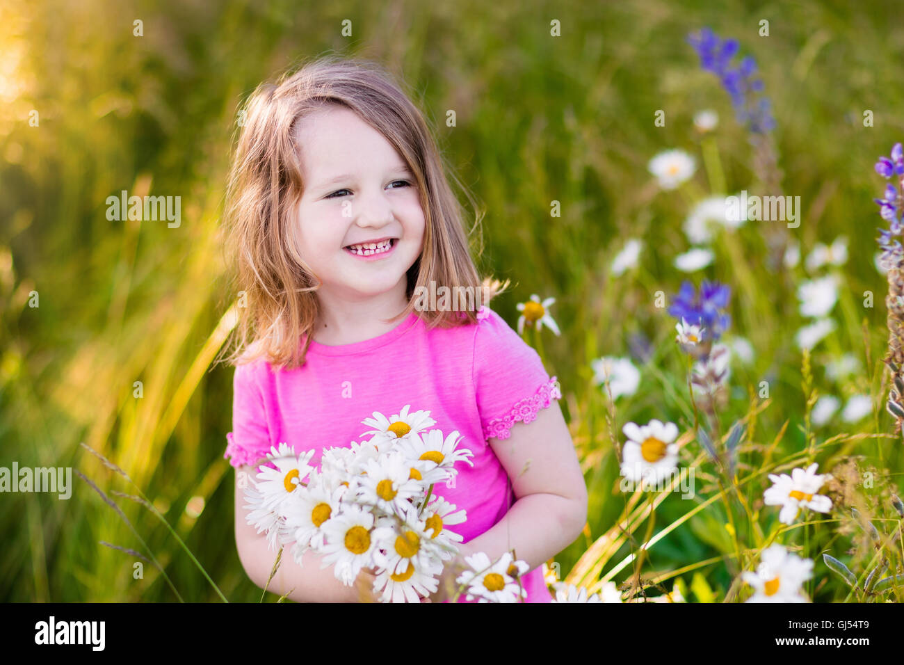 Child picking wild daisy flowers in field. Kids play in a meadow and ...