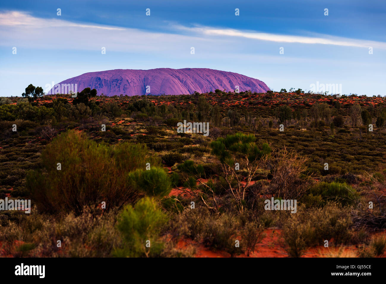 View of Uluru, also called Ayers Rock at sunset from the Ayers Rock ...