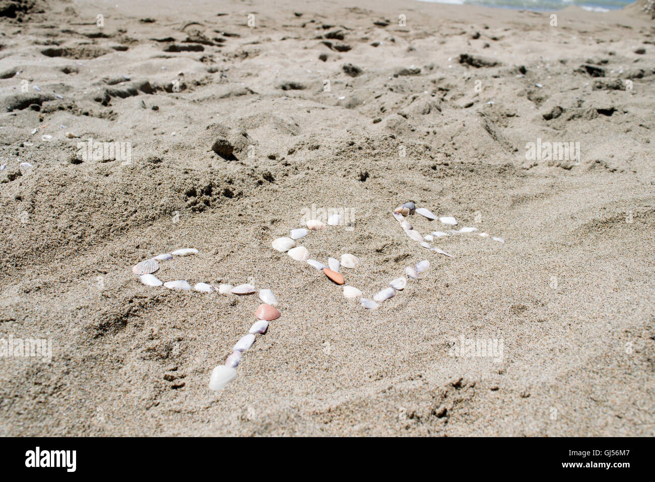 concept of summer: sea written with the shells on the sand Stock Photo ...