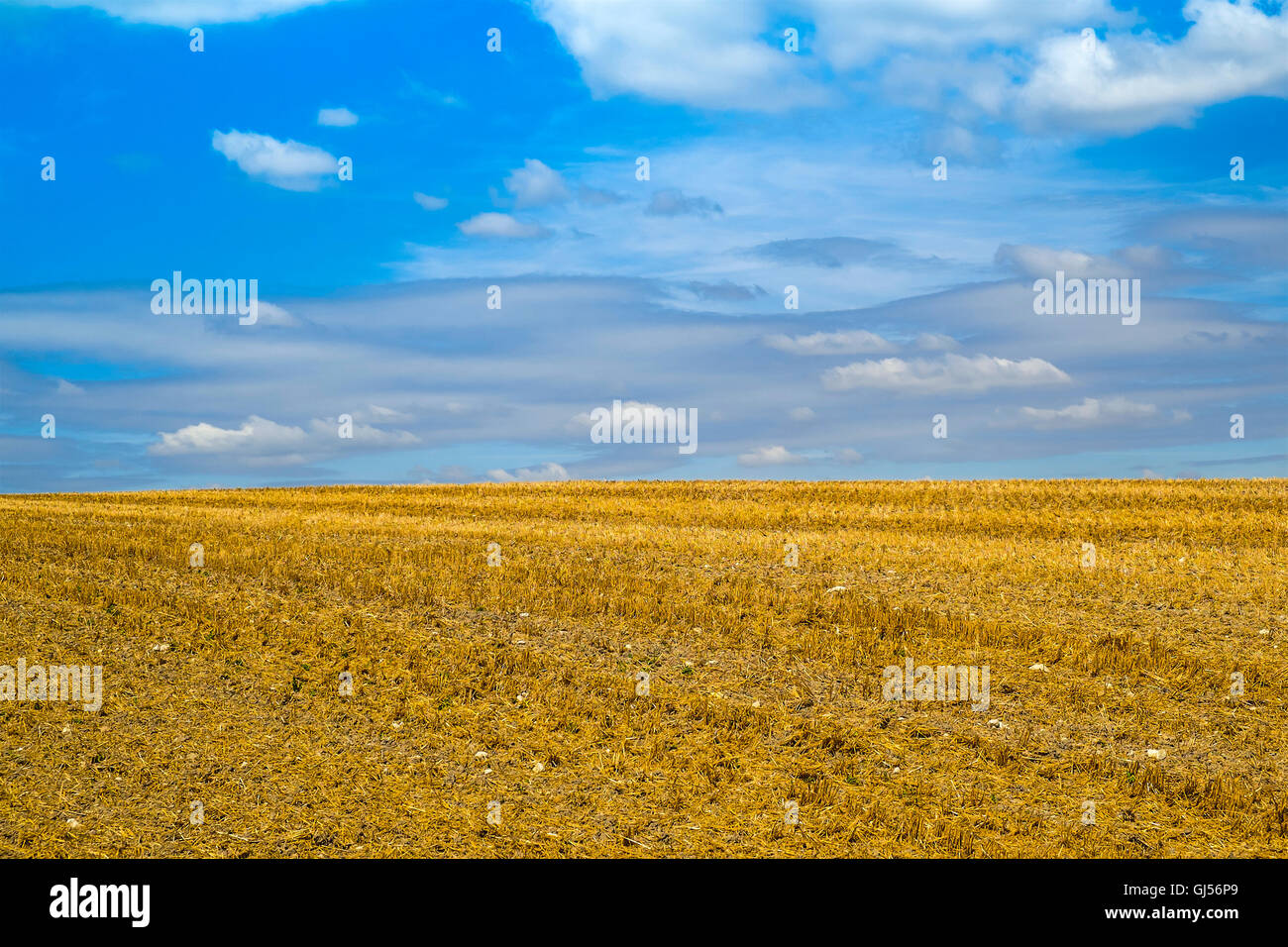 Wheat stubble hi-res stock photography and images - Alamy