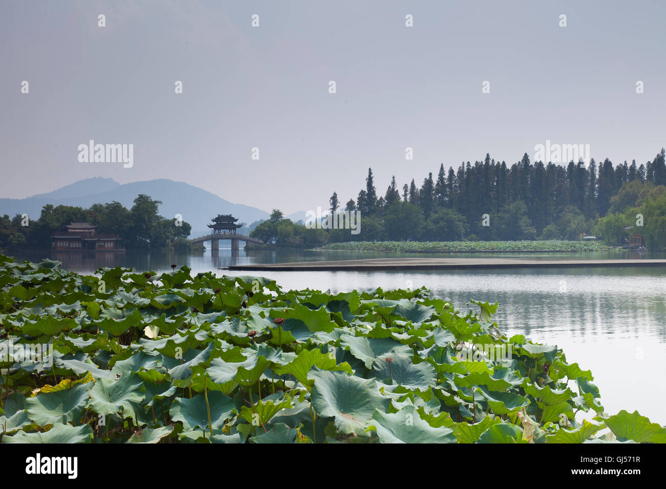 Hangzhou West Lake Quyuanfenghe Stock Photo - Alamy