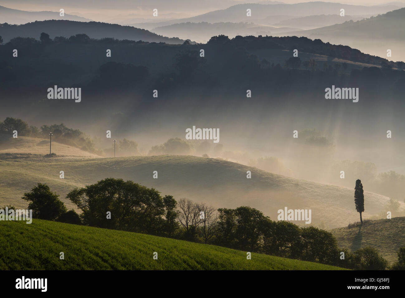 Guardistallo, Tuscany, Italy, view from the hill of Ricrio, landscape ...