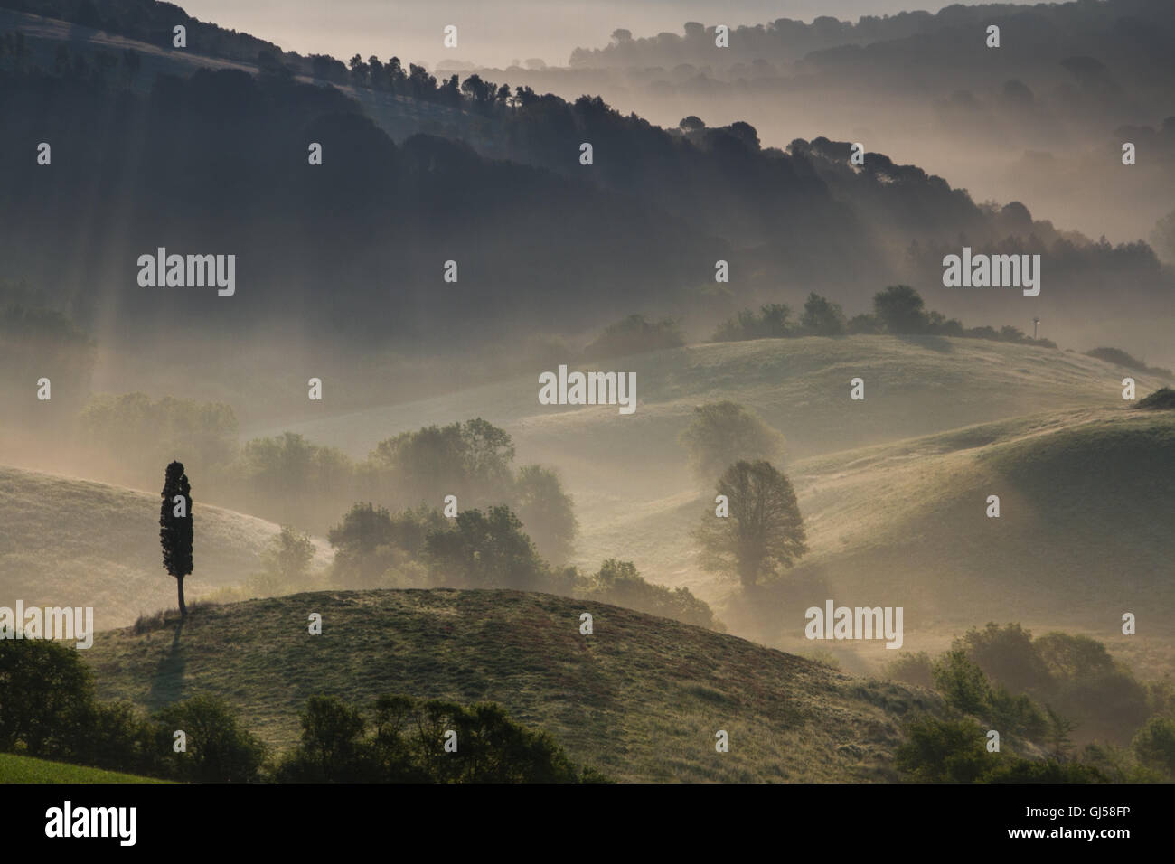 Guardistallo, Tuscany, Italy, view from the hill of Ricrio, landscape ...