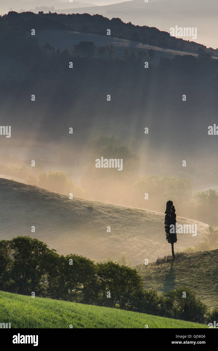 Guardistallo, Tuscany, Italy, view from the hill of Ricrio, landscape ...