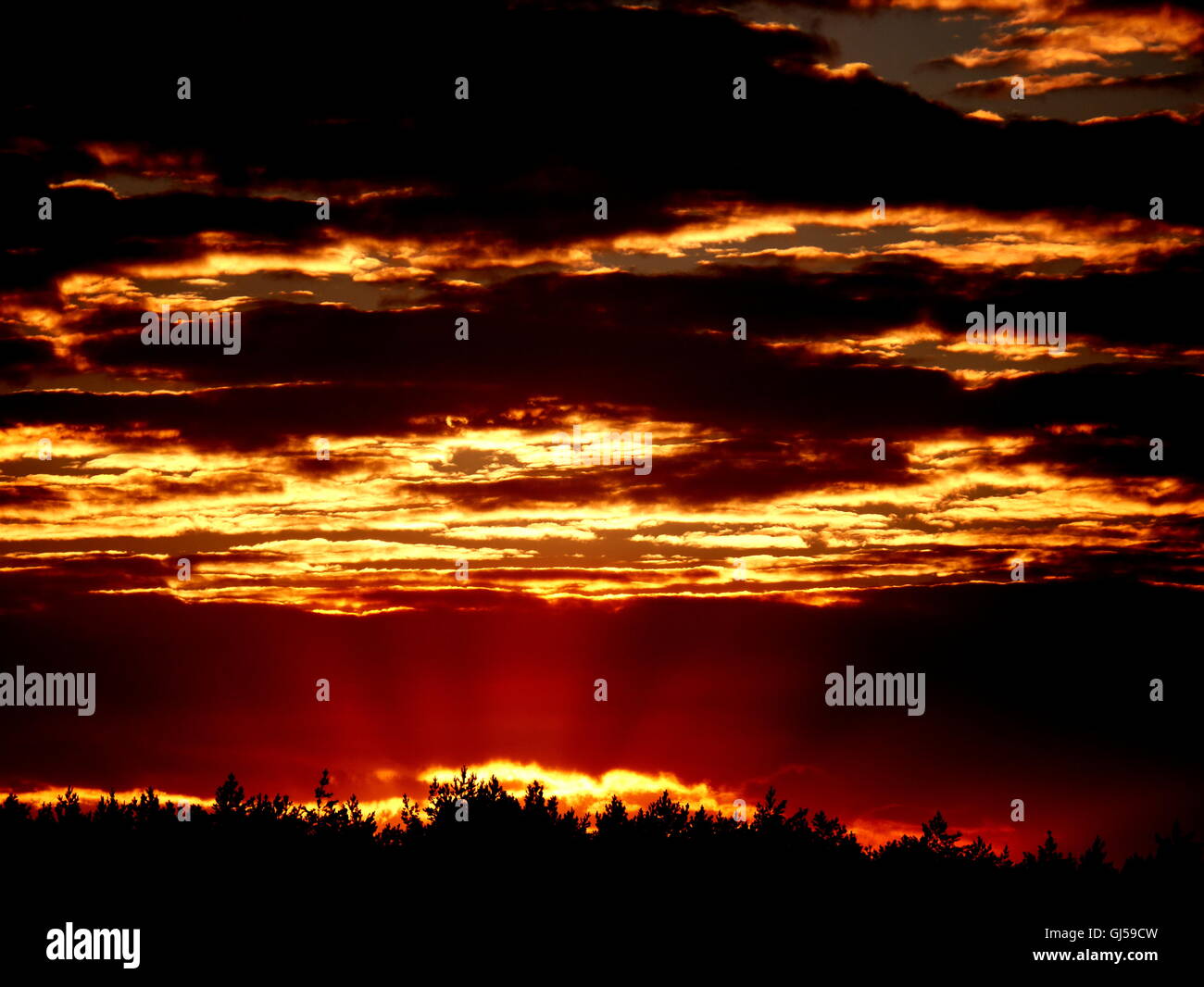 Red yellow and gold hi-res stock photography and images - Alamy