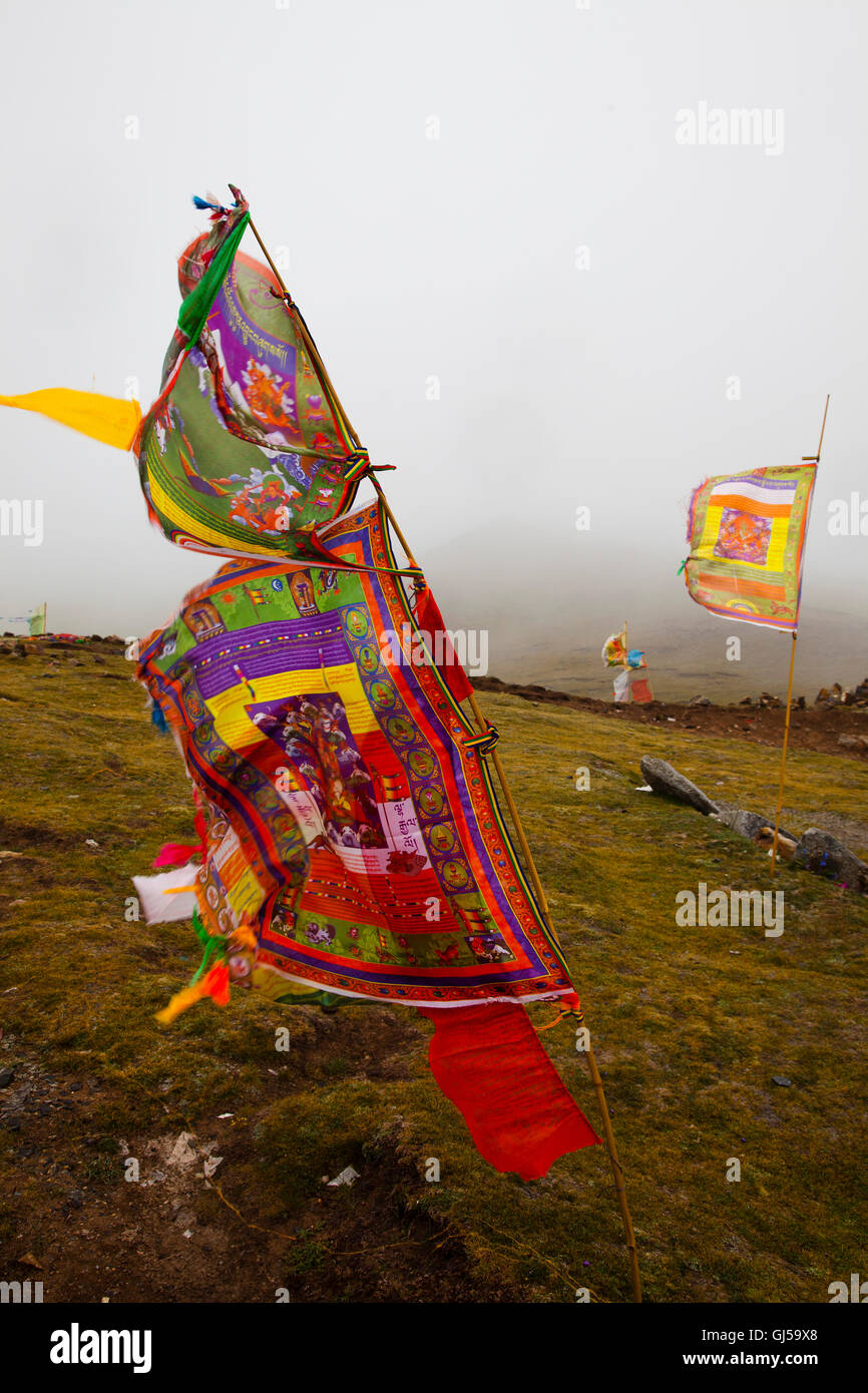 Maduo hi-res stock photography and images - Alamy