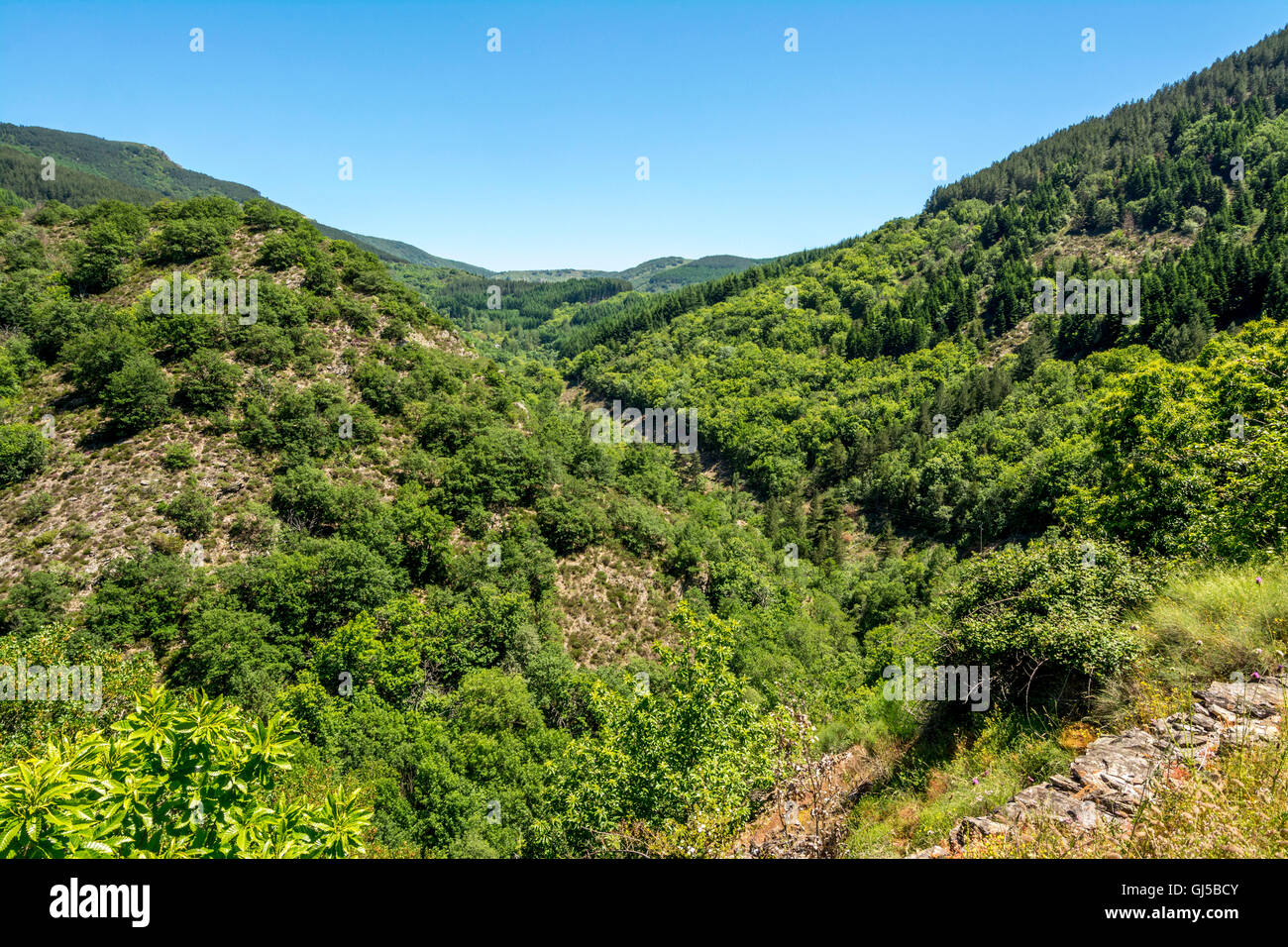 Dourbie valley, Causses du Larzac High Plateau, Grands Causses Natural ...