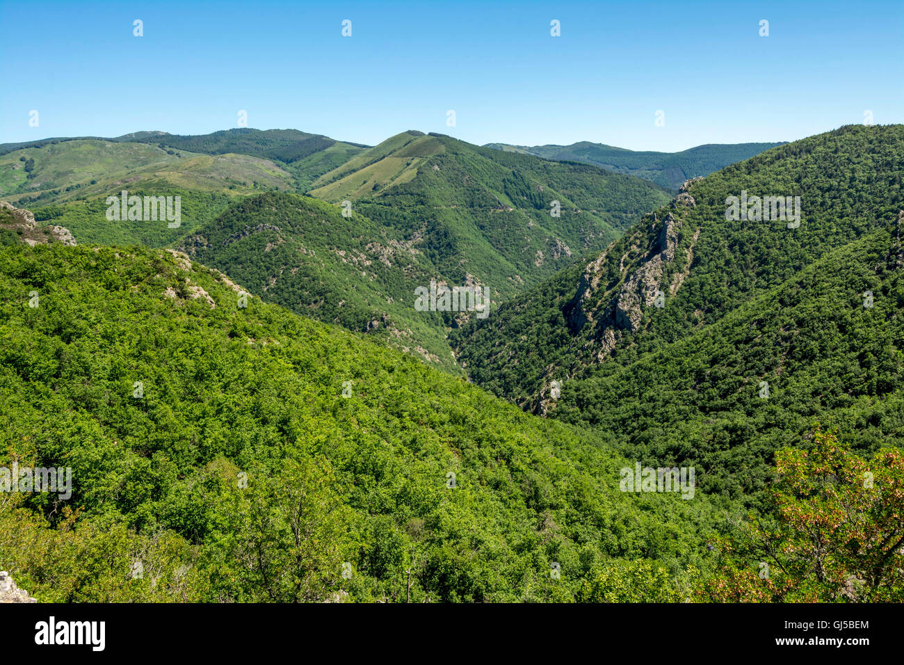 Dourbie River High Resolution Stock Photography and Images - Alamy