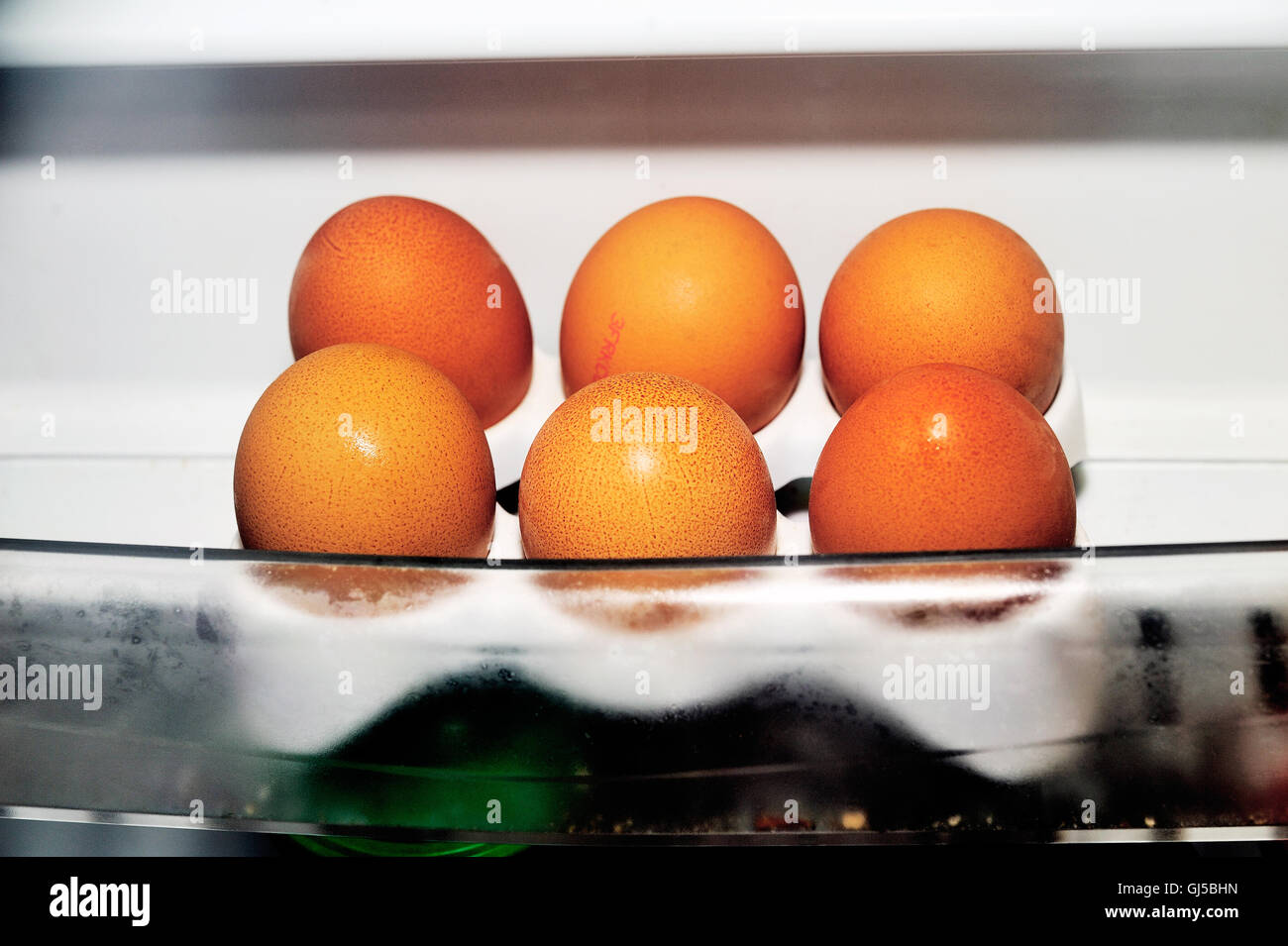 Fresh eggs stored in the compartment for it in the door of a ...
