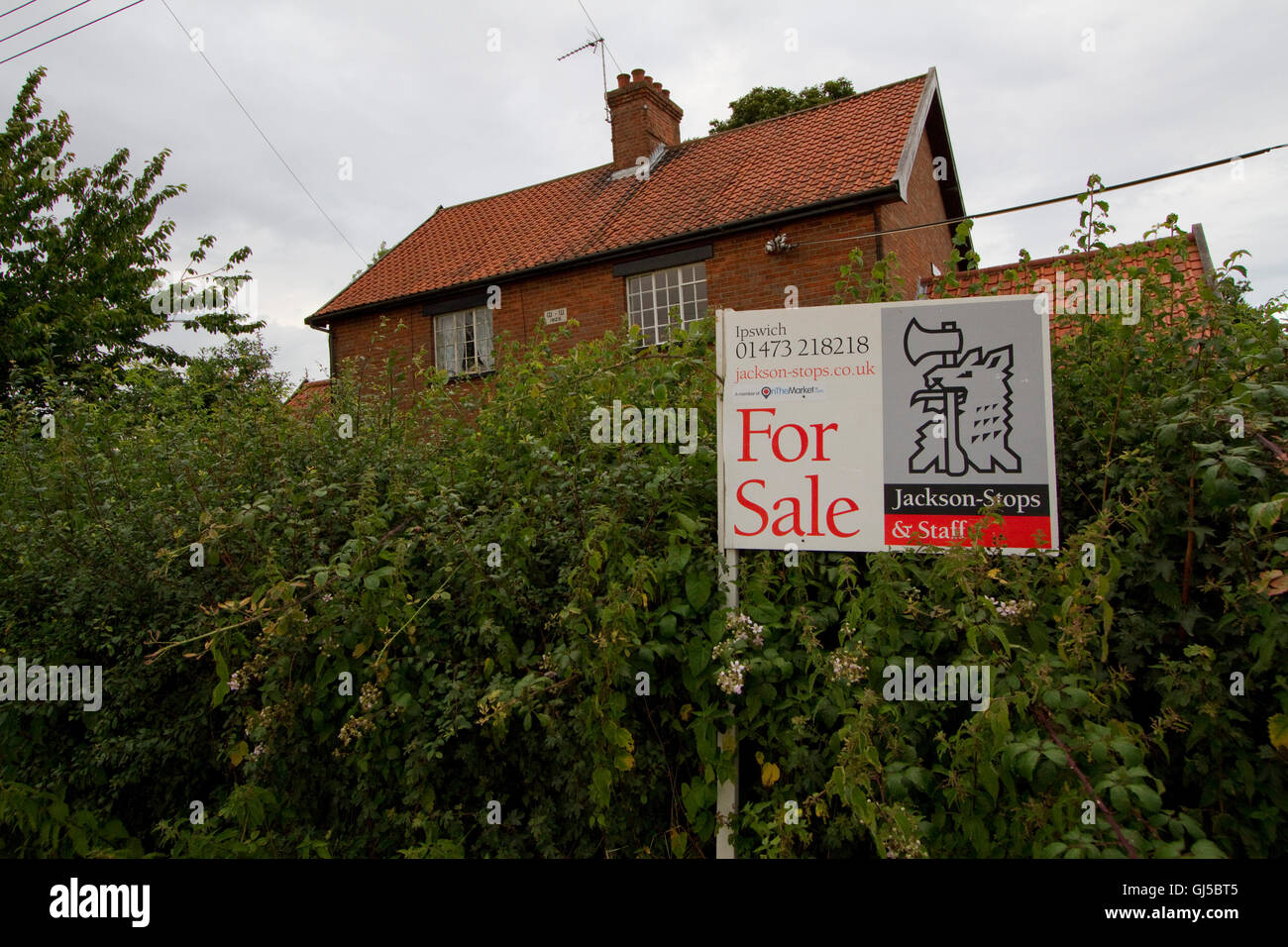 Suffolk red brick country house for sale behind an overgrown hedge ...
