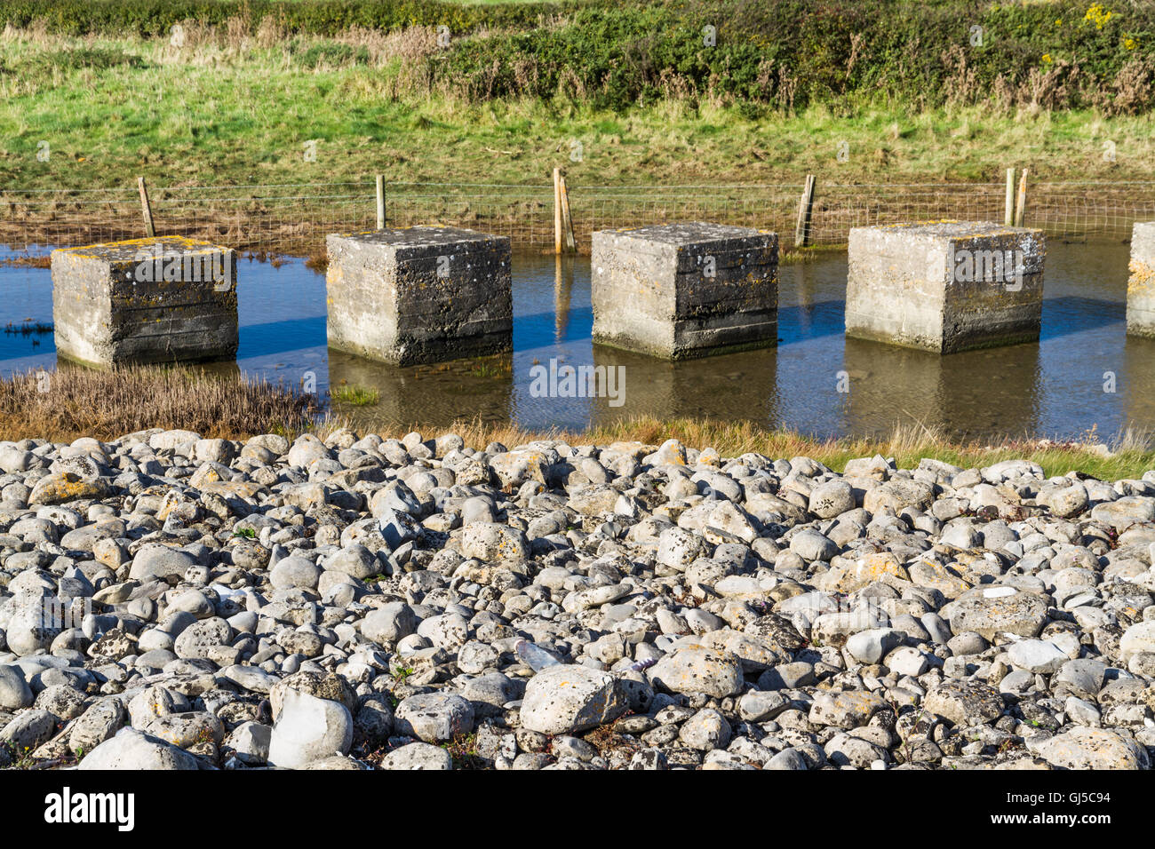 Anti-tank cubes from World War II to prevent invasion. Aberthaw beach ...