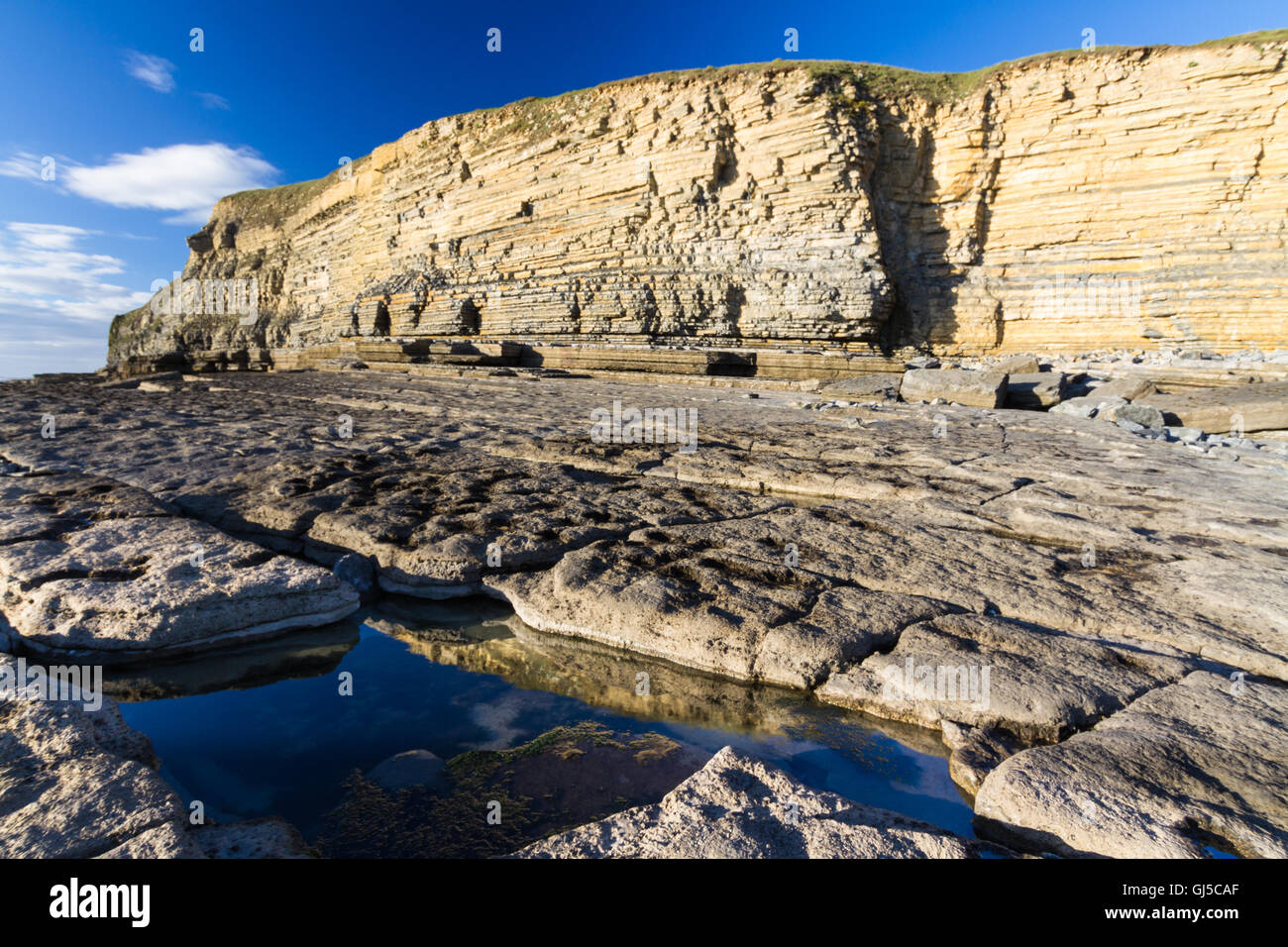 Carboniferous limestone cliffs of Southerndown Beach or Dunraven Bay ...