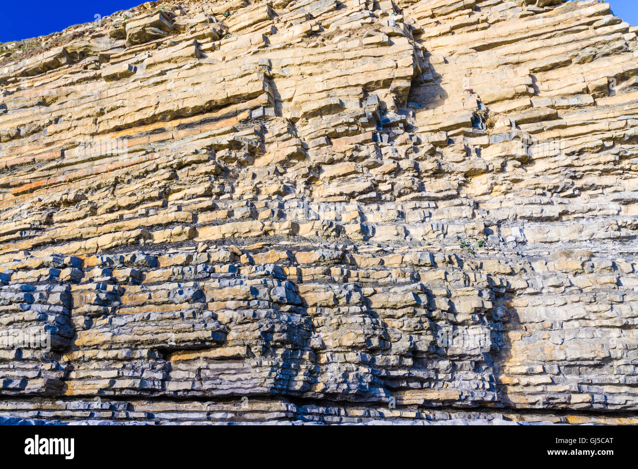 Carboniferous limestone cliffs of Southerndown Beach or Dunraven Bay ...