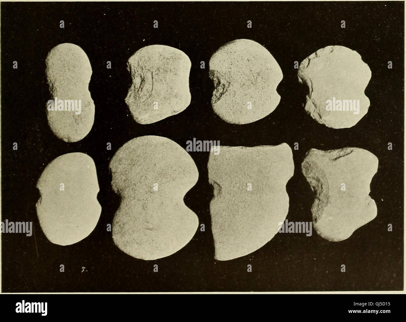 This 1915 report details the archaeological exploration of a Munsee ...