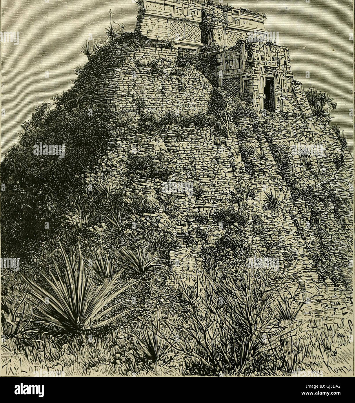 'The History of Mankind' (1896) provides an overview of human ...