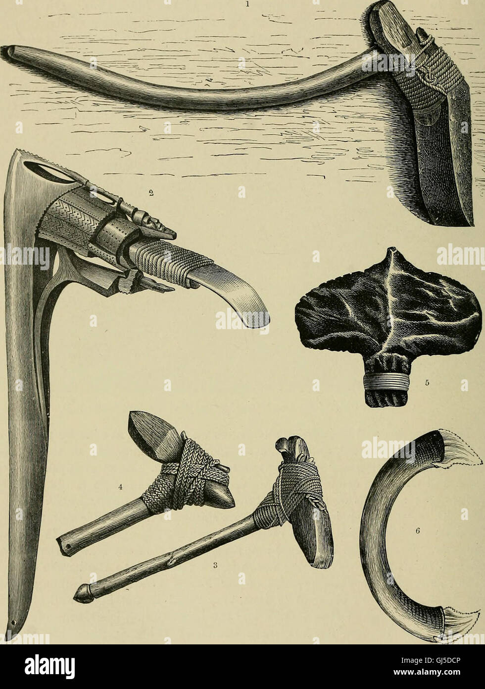 *The History of Mankind* (1896) provides a comprehensive overview of ...