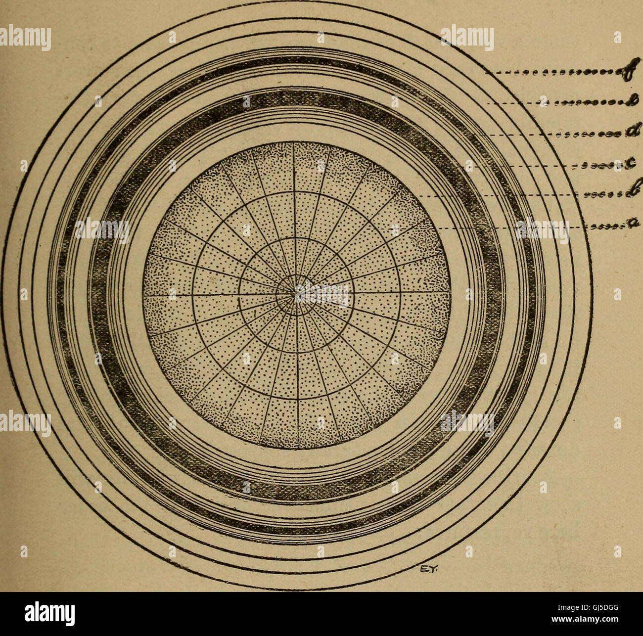 The waters above the firmament, or The earth's annular system (1902 ...