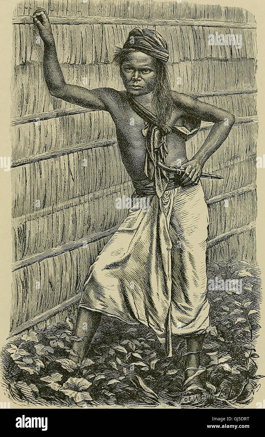 This 1896 work provides a broad overview of human history, exploring ...