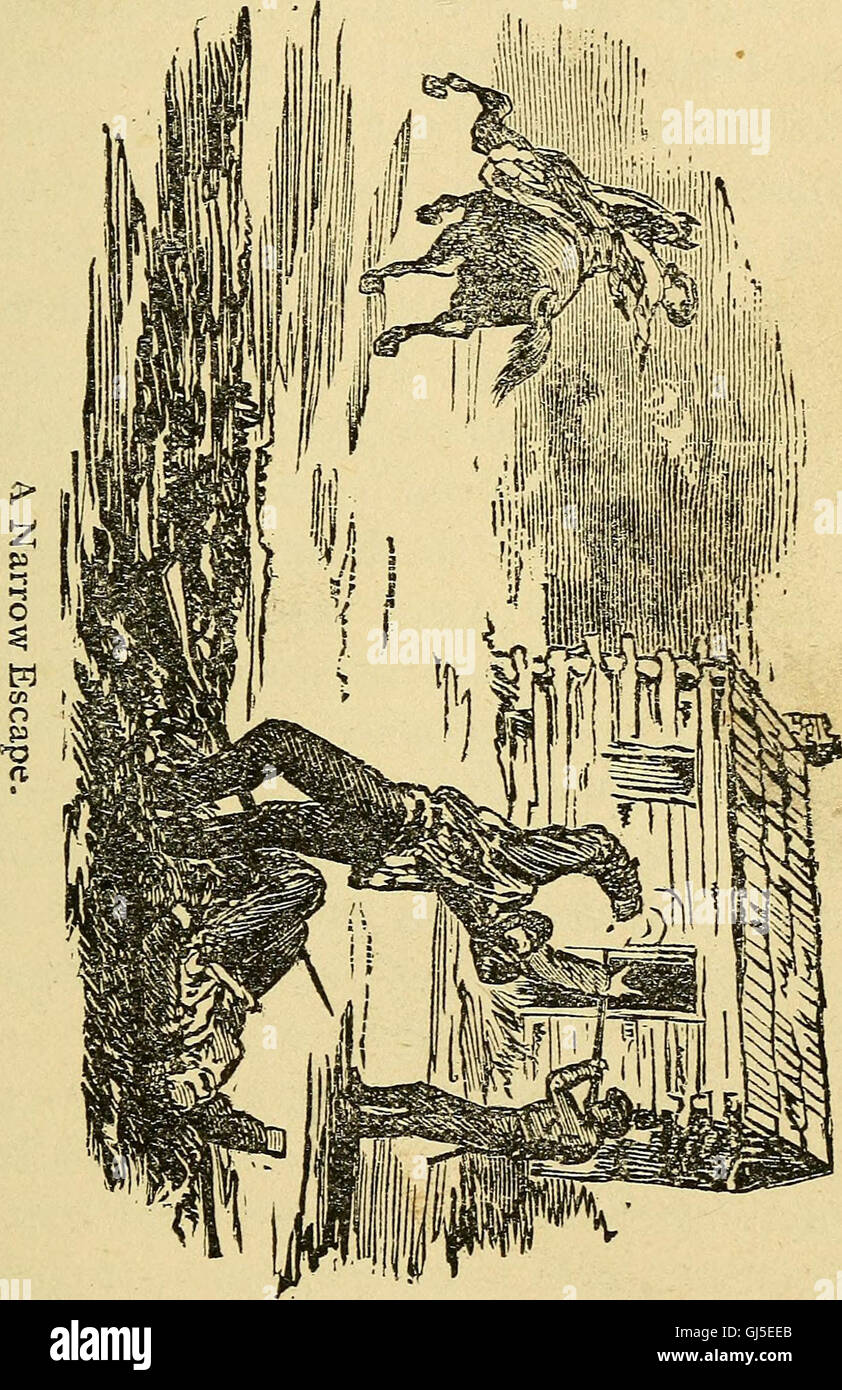 Illustrated lives and adventures of Frank and Jesse James, and the ...