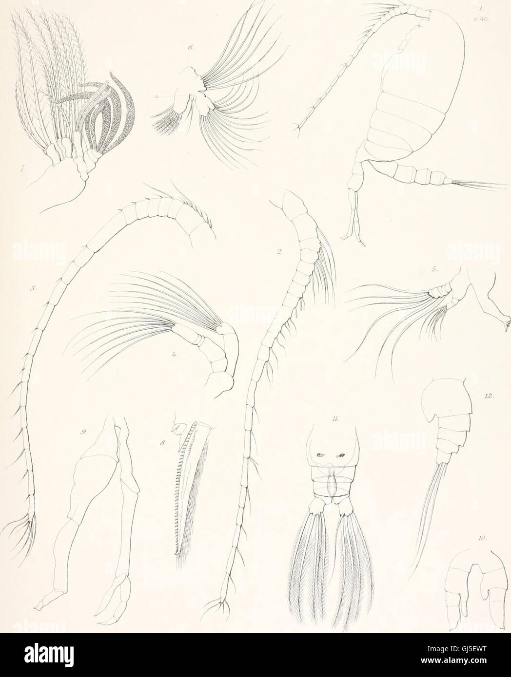 This report covers the scientific findings of the H.M.S. Challenger ...