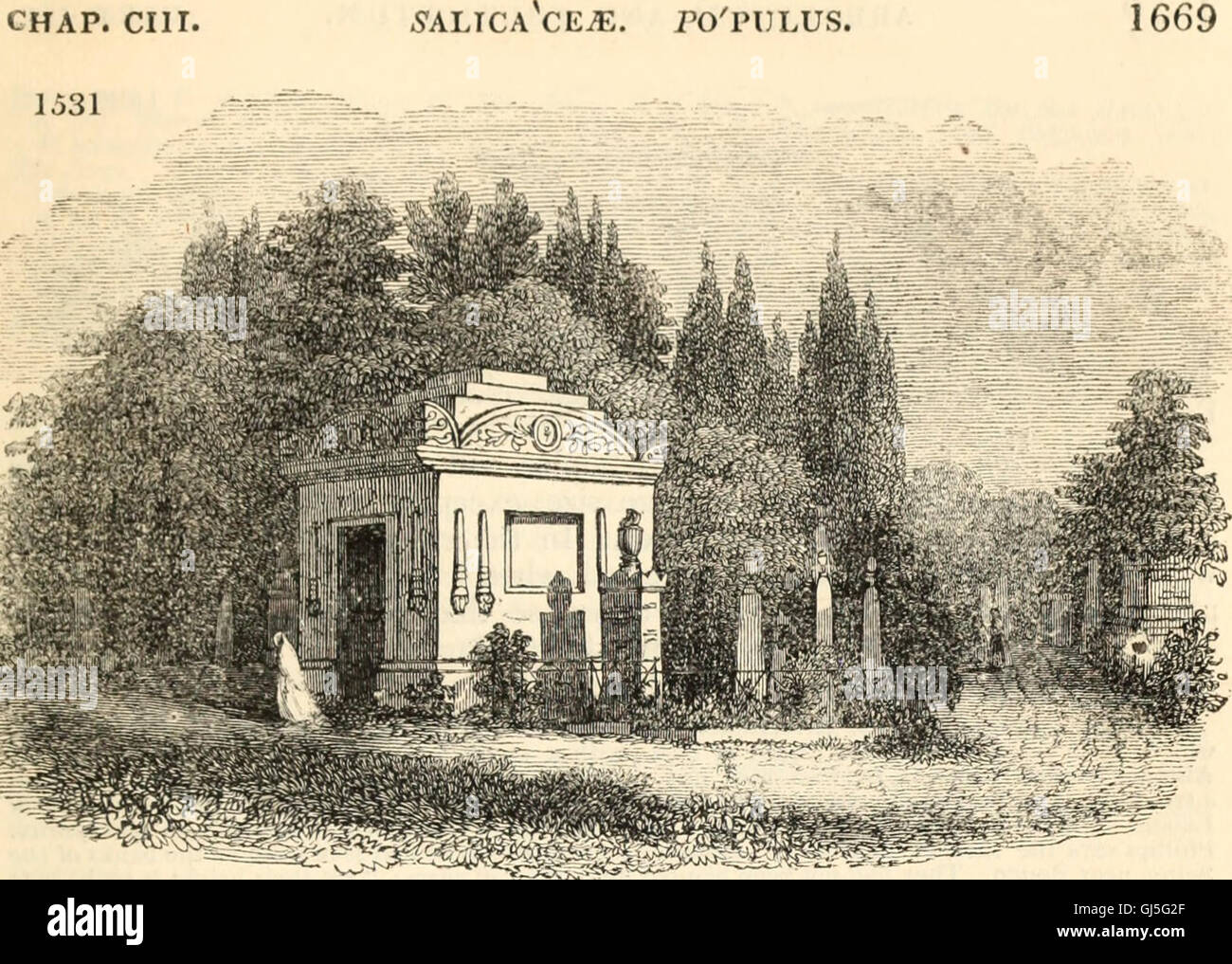 This work provides detailed descriptions and illustrations of British ...