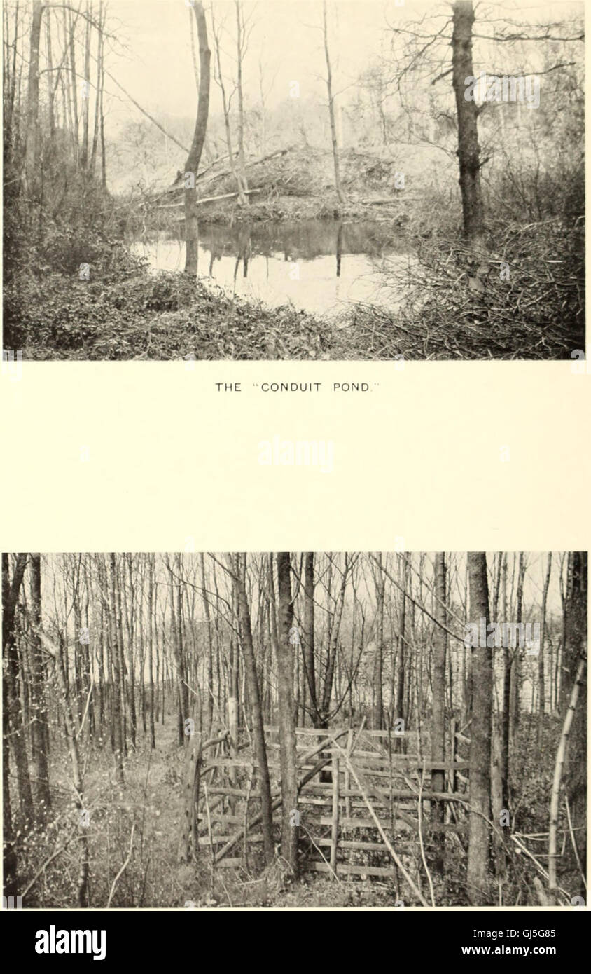 This report details the architectural and historical investigations of ...