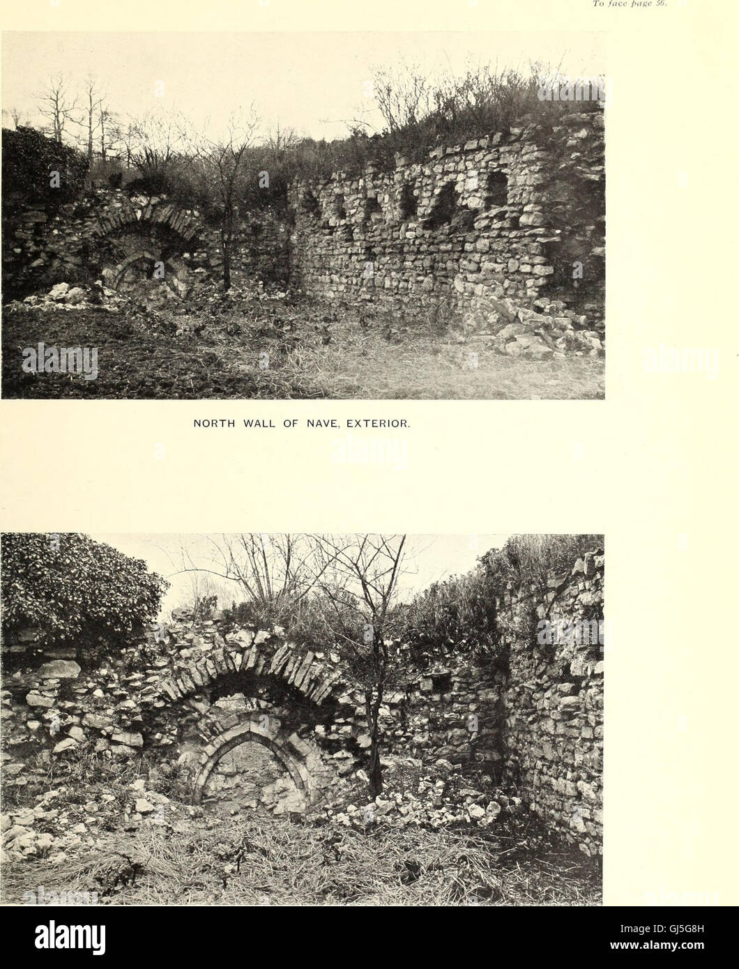 An image from 'Lesnes Abbey in the Parish of Erith, Kent,' documenting ...