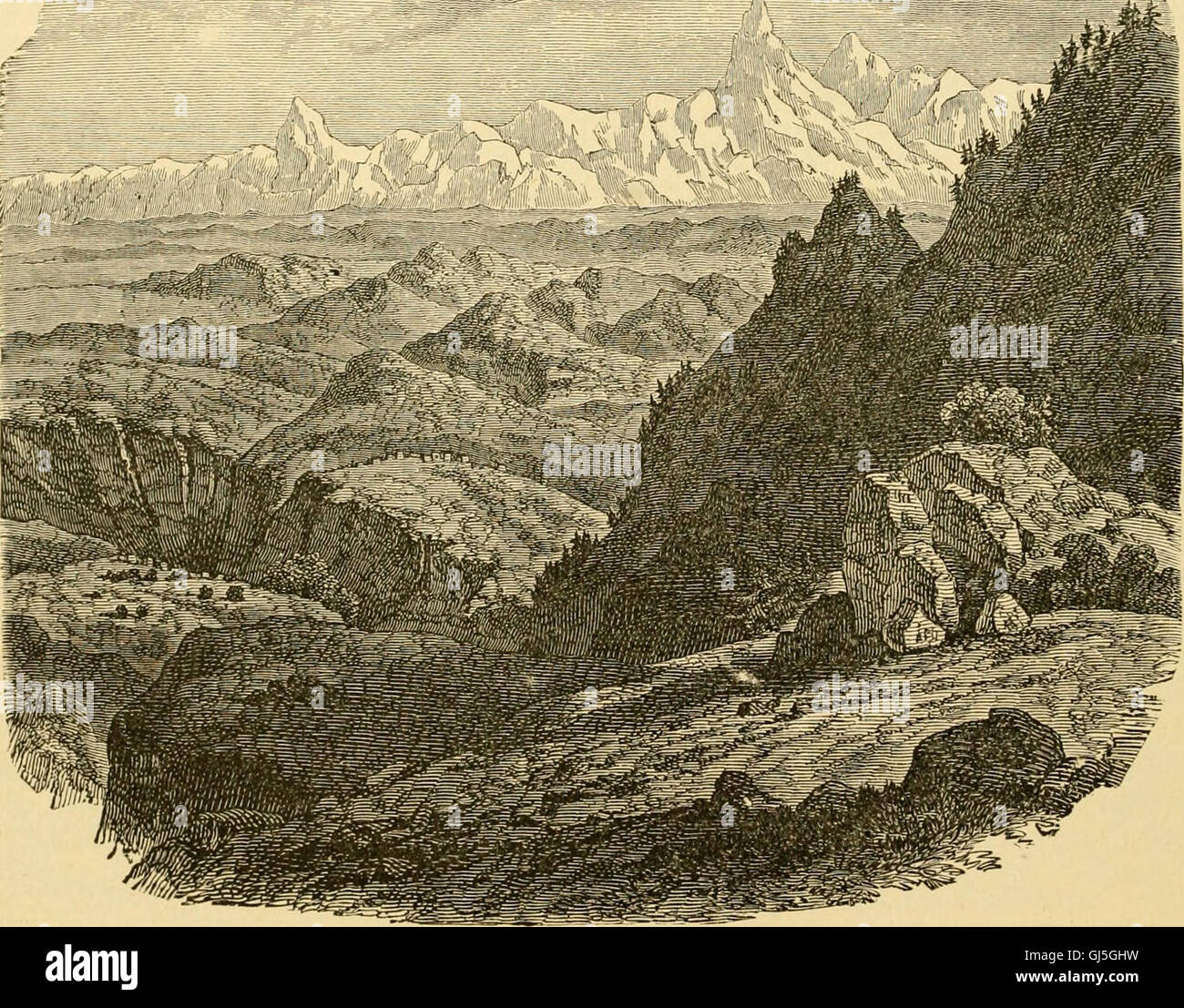 *Ridpath's History of the World* (1897) is a comprehensive historical ...