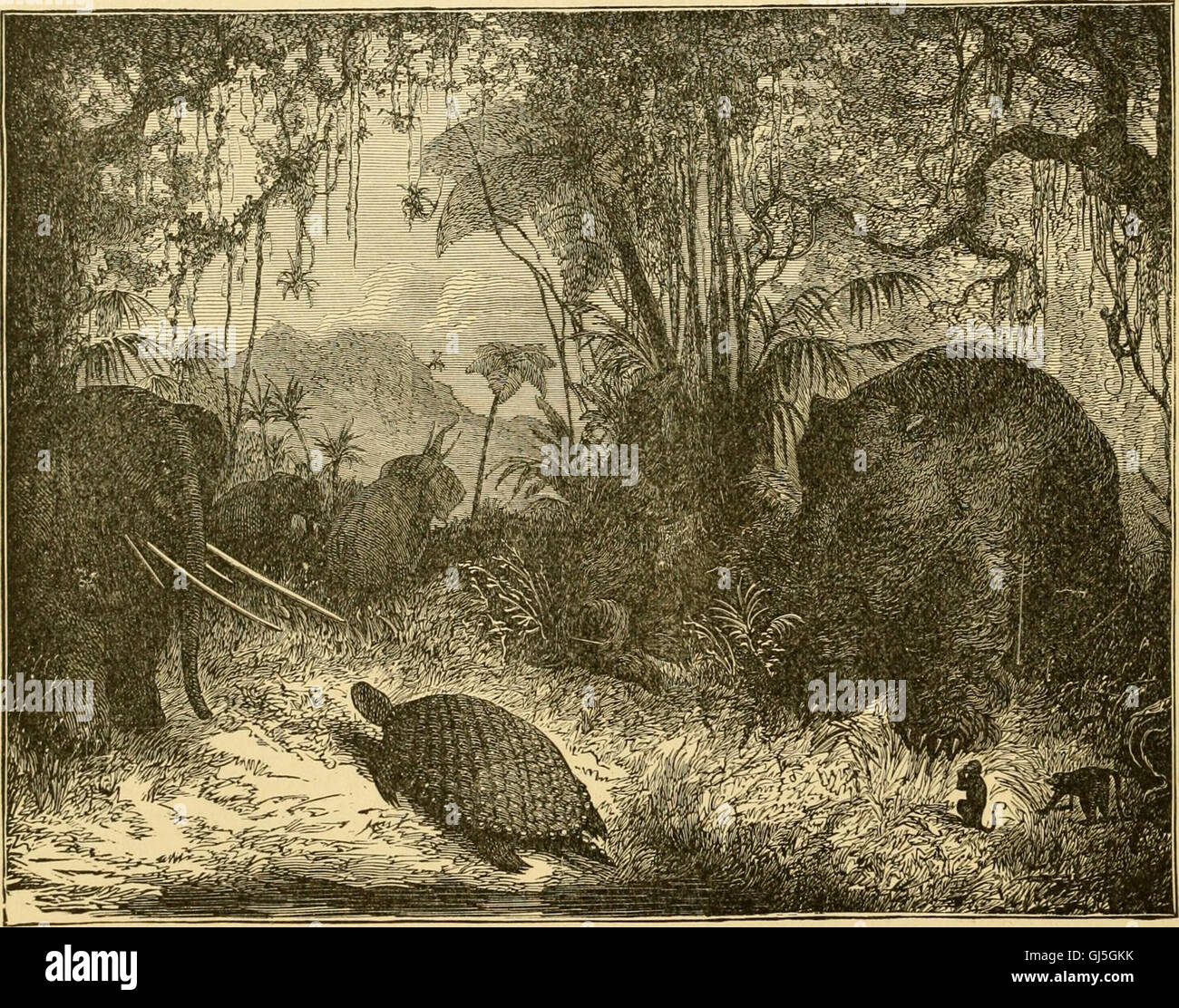 *Ridpath's History of the World* (1897) provides an overview of human ...