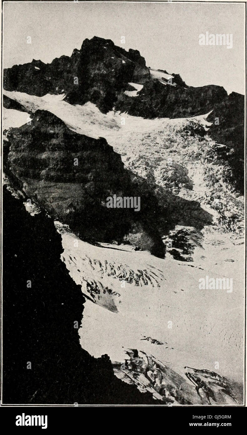 'American Forests' is a publication focusing on the preservation and ...