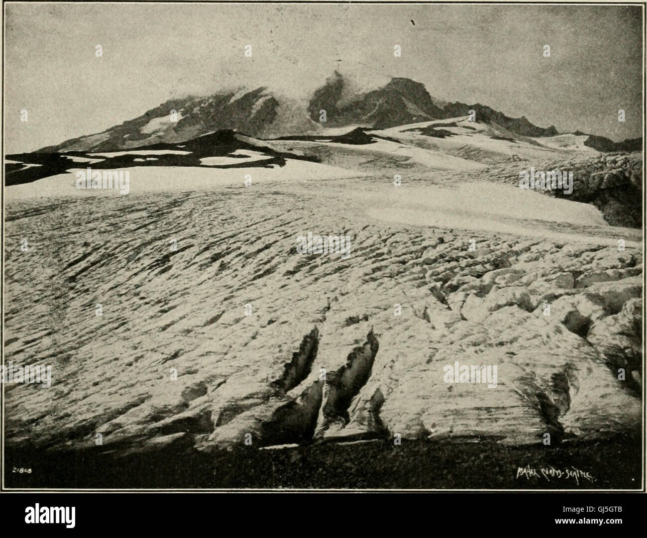 American Forestry, published between 1910 and 1923, focuses on the ...