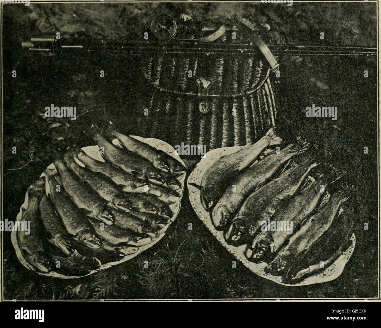 'Rod and Gun' (1898) explores outdoor sports like fishing and hunting ...
