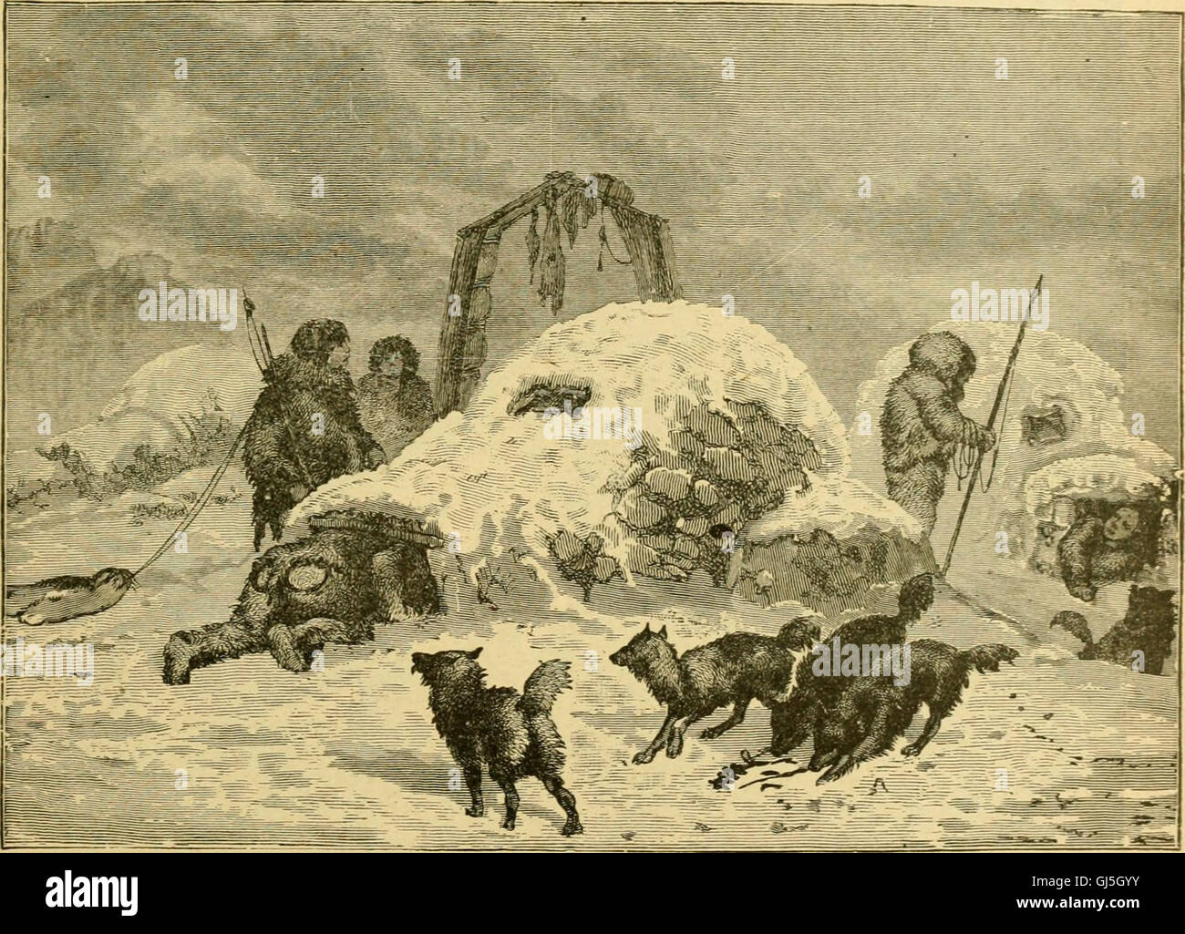 *Ridpath's History of the World* (1897) offers an extensive history of ...